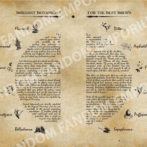 12 24 Pages Printable Magic Potion Book Loose Pages, Magical Witch ...