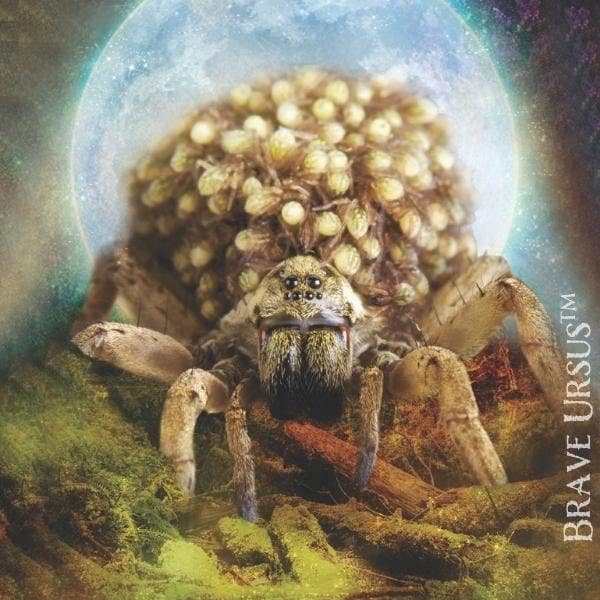 Spider Totem - Etsy