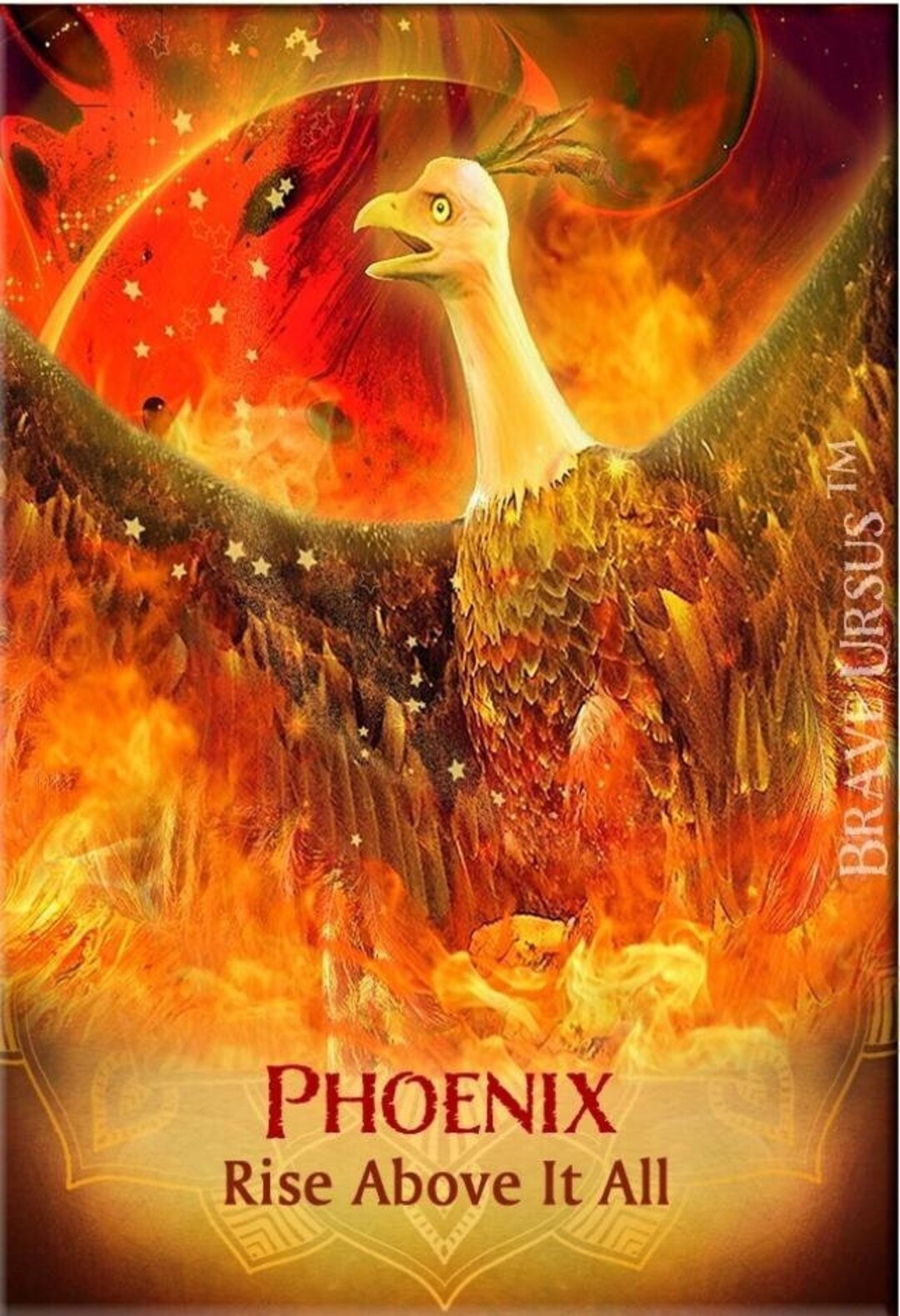 Phoenix Magnet 2x3 by Bernadette King - Etsy