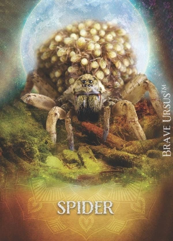 Spider Spirit Animal Altar & Prayer Card 5x7 by Bernadette - Etsy