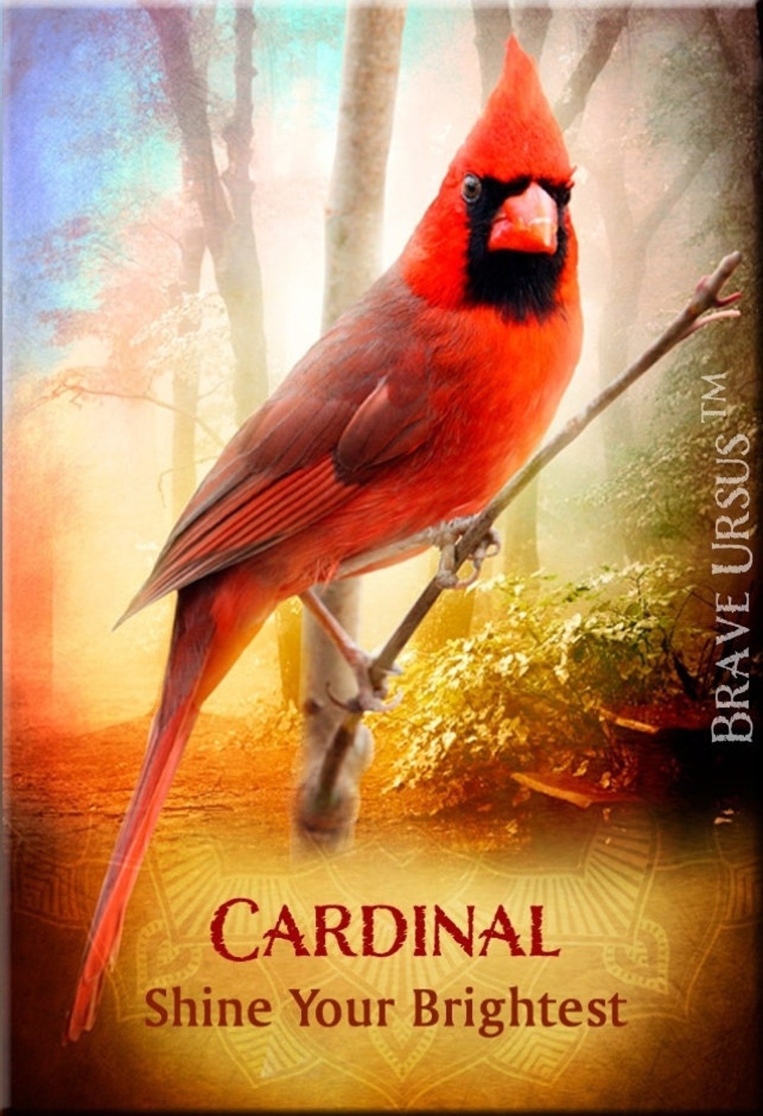 Cardinal Magnet 2"x3" by Bernadette King - Etsy