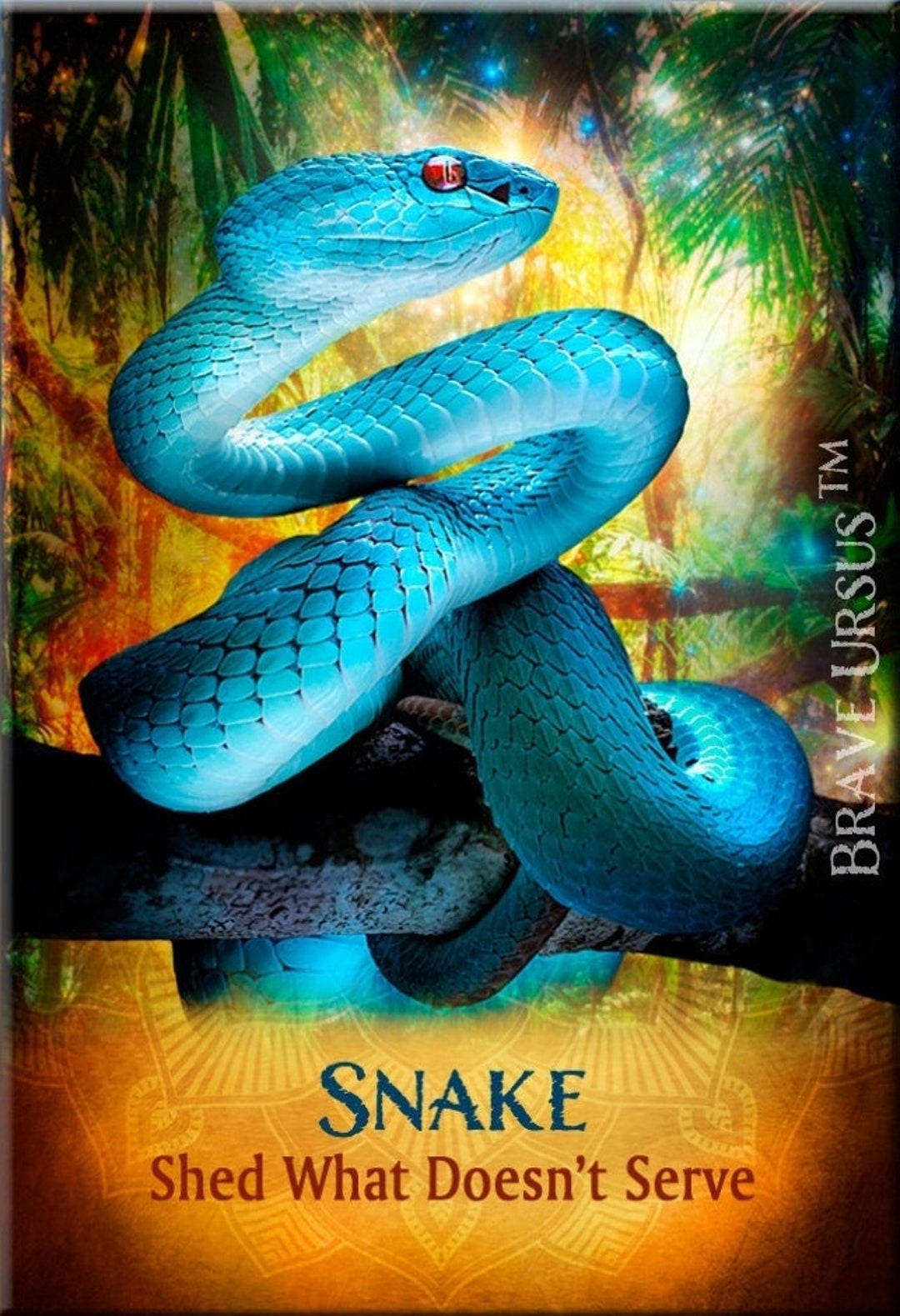 Snake Magnet 2"x3" by Bernadette King - Etsy