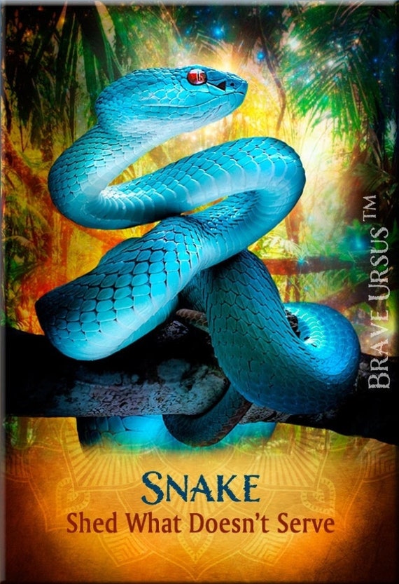 Snake Magnet 2x3 by Bernadette King - Etsy