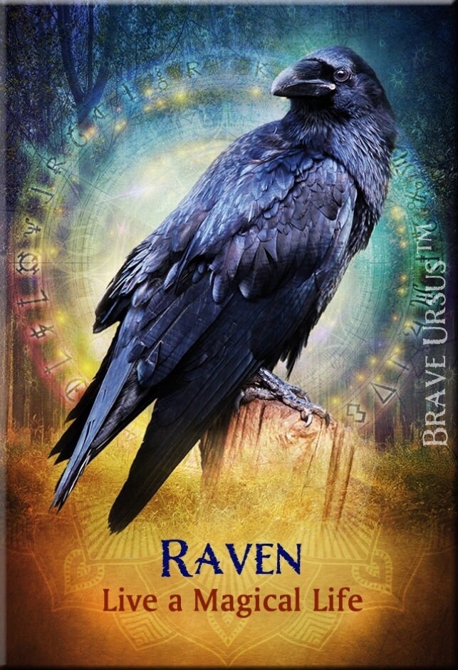 Raven Magnet 2"x3" by Bernadette King - Etsy