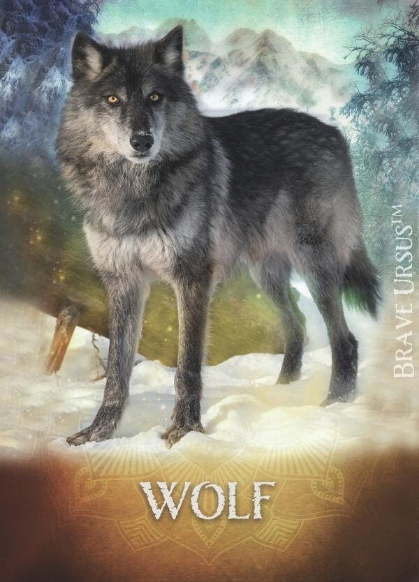 Wolf Spirit Animal Altar & Prayer Card 5x7 by Bernadette King - Etsy