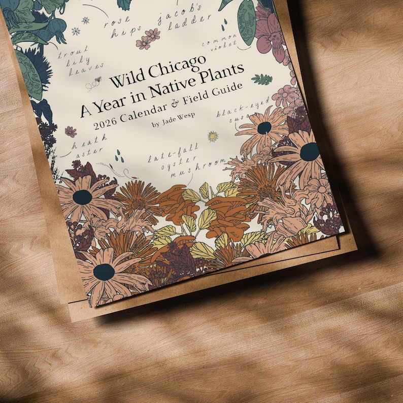 2026 Wild Chicago Native Plants Calendar | Botanical Line Art, Nature ...