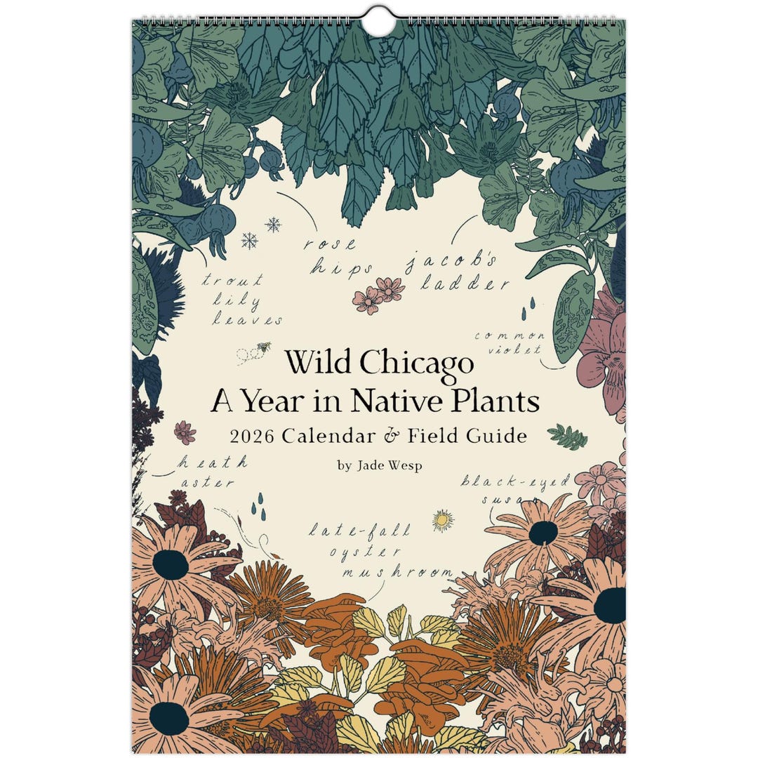 2026 Wild Chicago Native Plants Calendar | Botanical Line Art, Nature ...