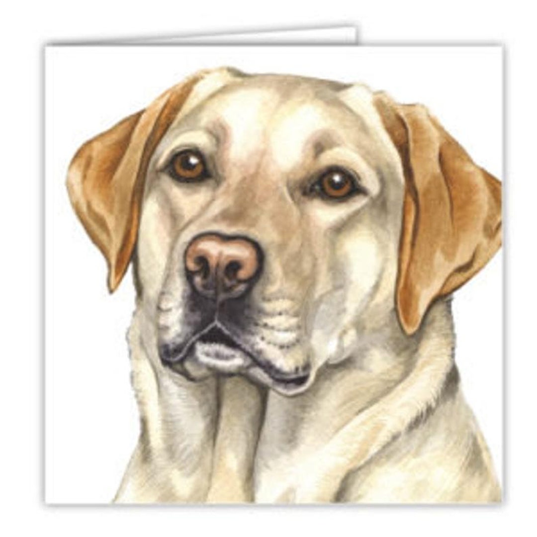 Dog Cards, Golden Labrador, Golden Labrador Dog Card, Birthday Dog Card ...