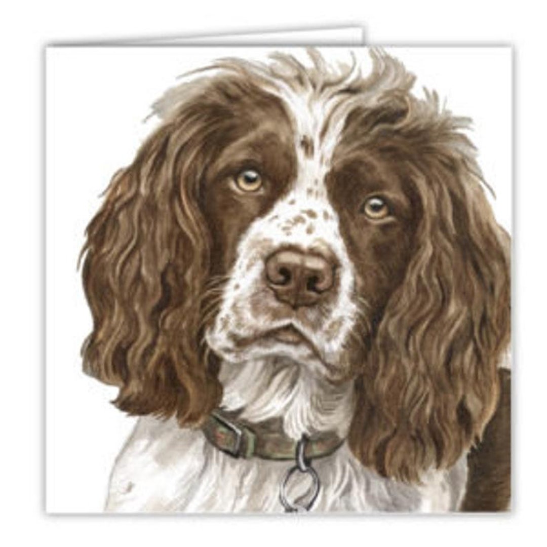 Dog Cards, Springer Spaniel, Springer Spaniel Dog Card, Birthday Dog ...