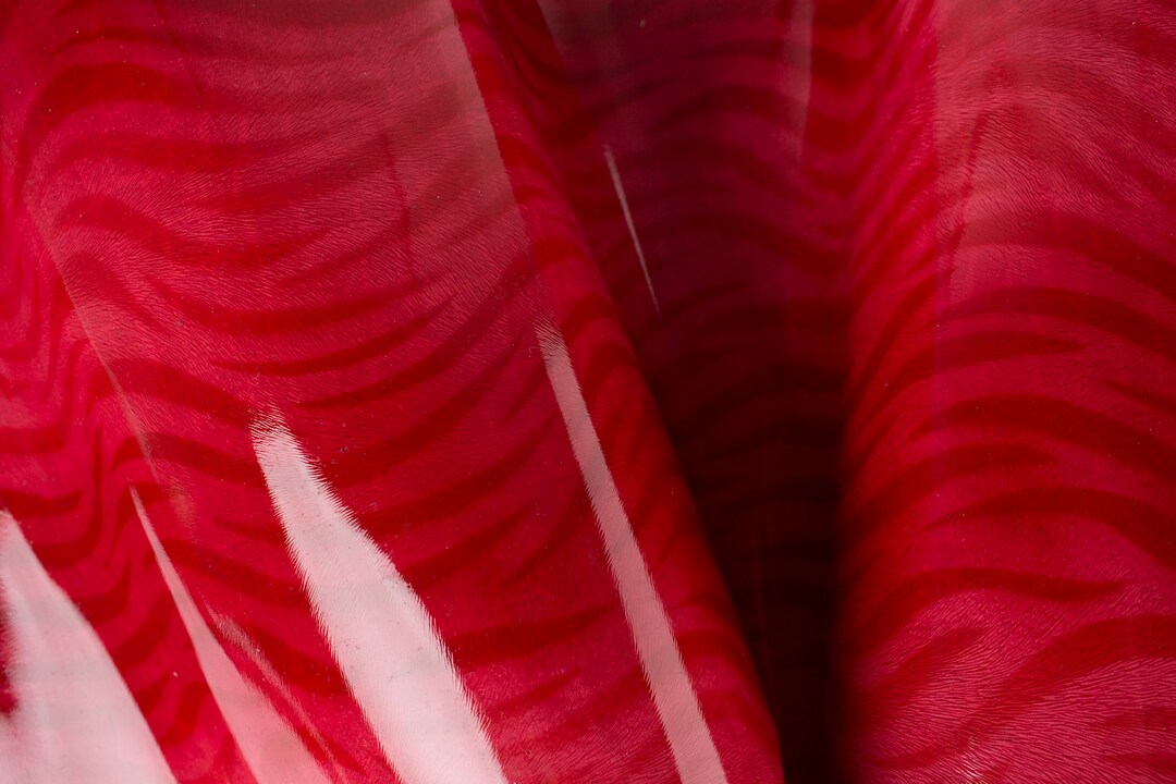 Red Glossy Patent Lack ITALIAN Leather Calf Cow Hide Scraps Scrap ...