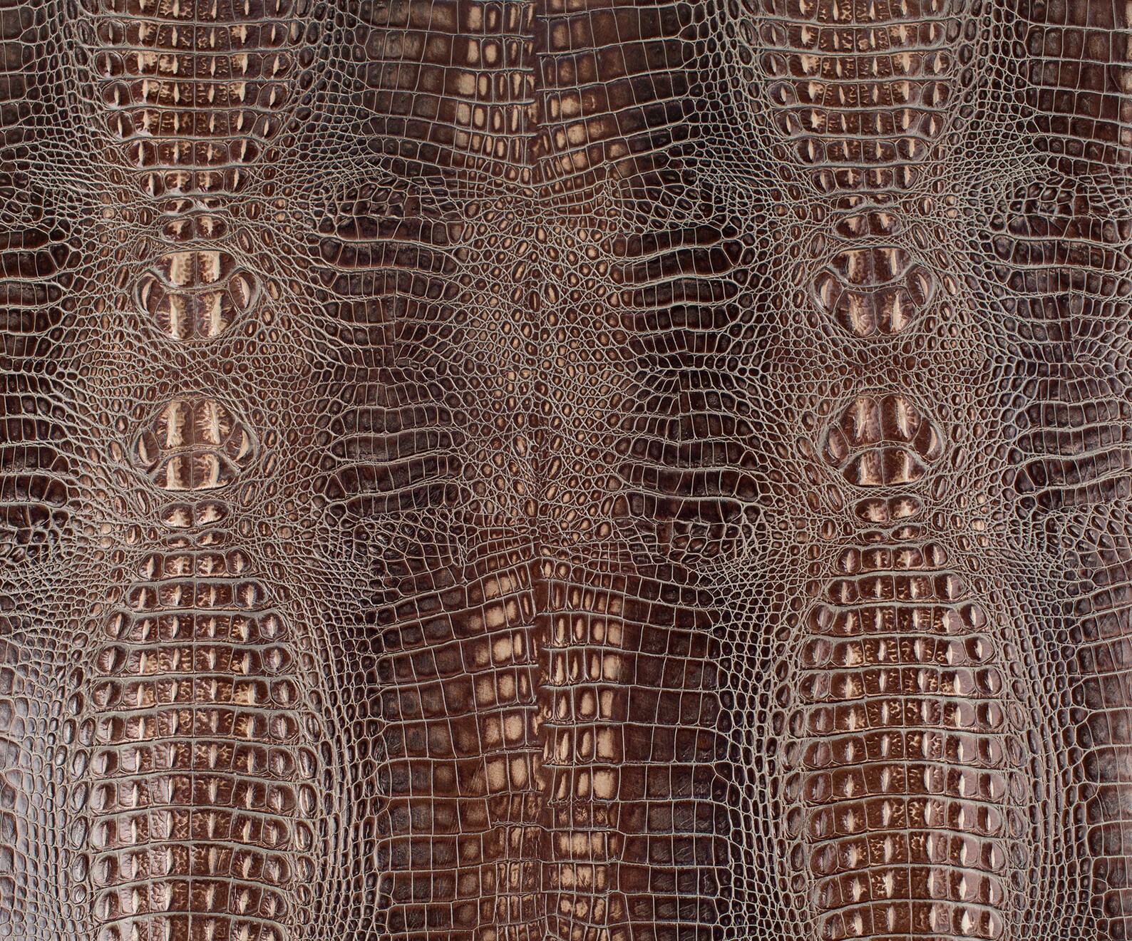 Brown Vintage Crocodile Embossed Print ITALIAN Leather Calf | Etsy