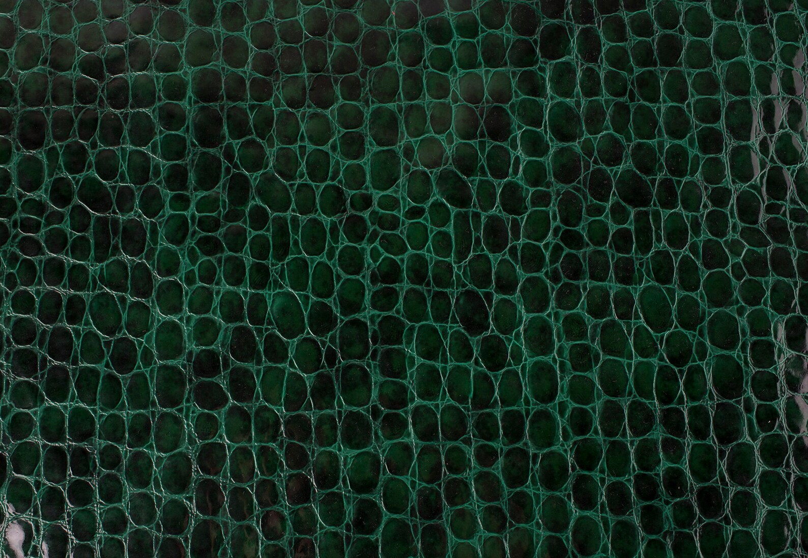 Dark Green Crocodile Embossed Print Patent ITALIAN Leather - Etsy Canada