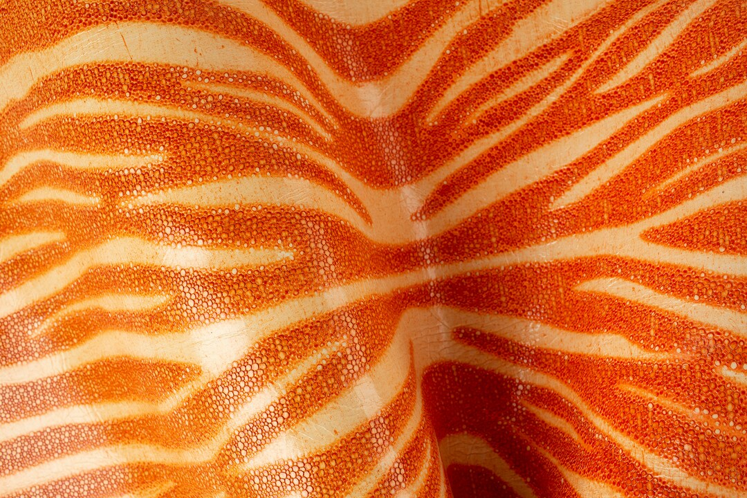 Orange Print ITALIAN Leather Calf Cow Hide Scraps Scrap Square Pieces ...