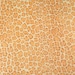 ORANGE Print JAGUAR ITALIAN Leather Calf Cow Hide Scraps Scrap Square ...