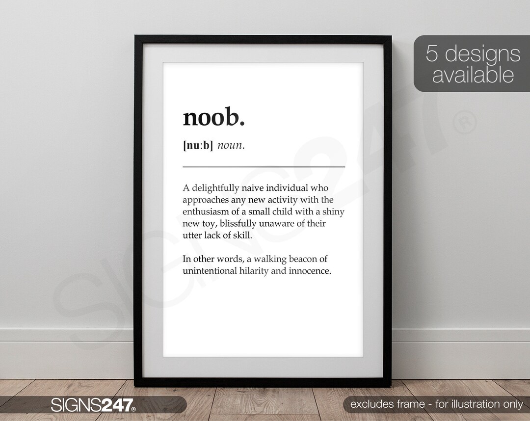 Noob Poster | Noob Quote Definition Poster | Printed Poster | Funny ...