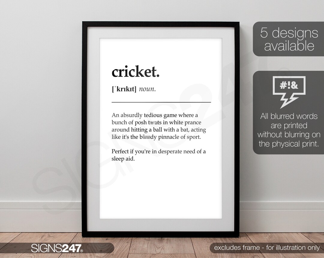 Cricket Poster | RUDE | Cricket Quote Definition Poster | Printed ...