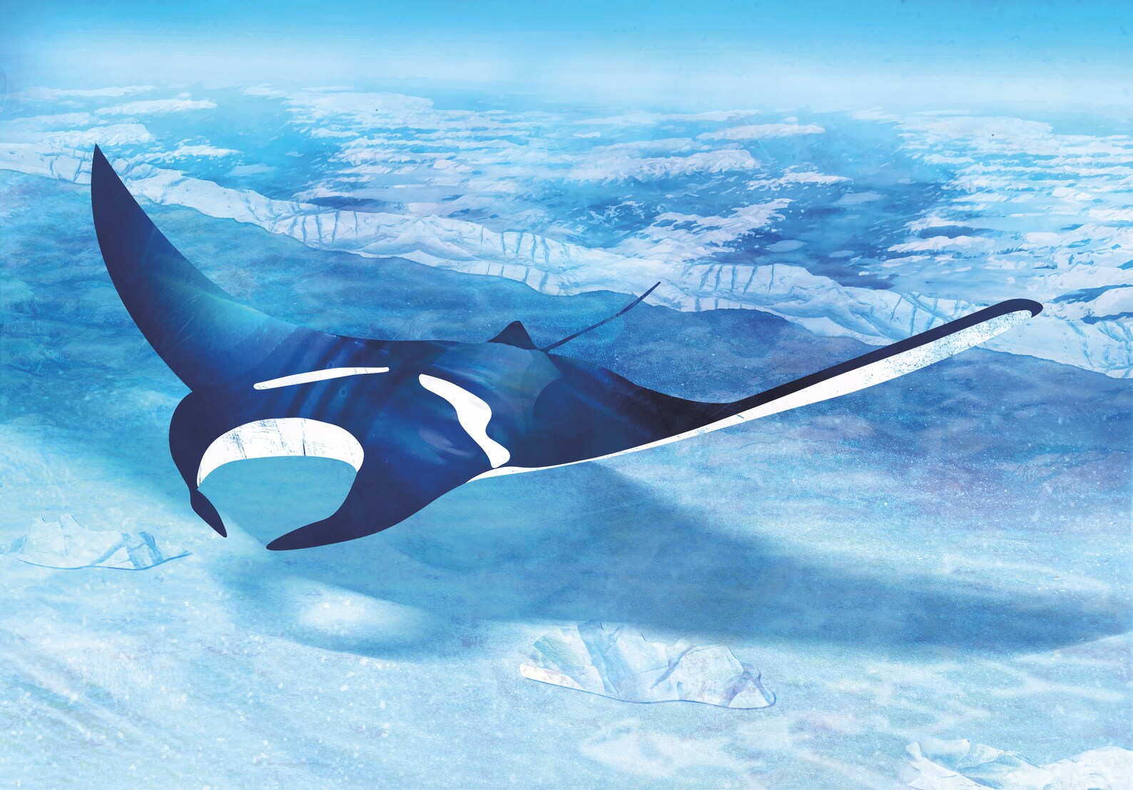 The Giant Devil Ray in Rays of the Sun - Etsy