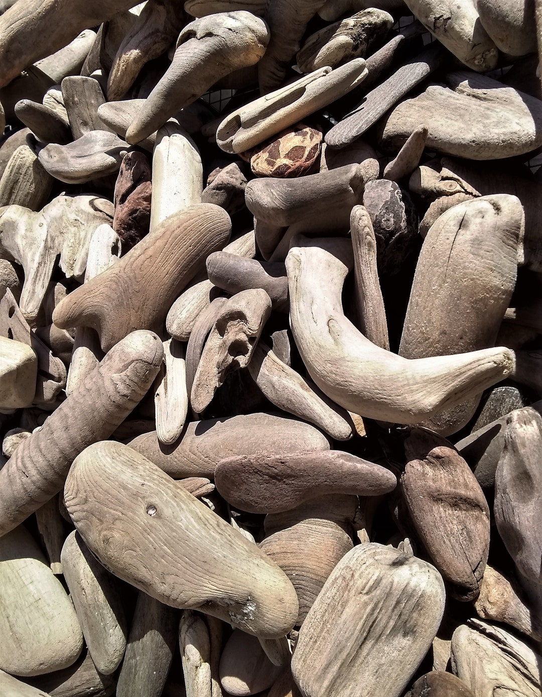 400 Driftwood Pieces 1 to 12, Huge Supply of High Quality Pieces of ...