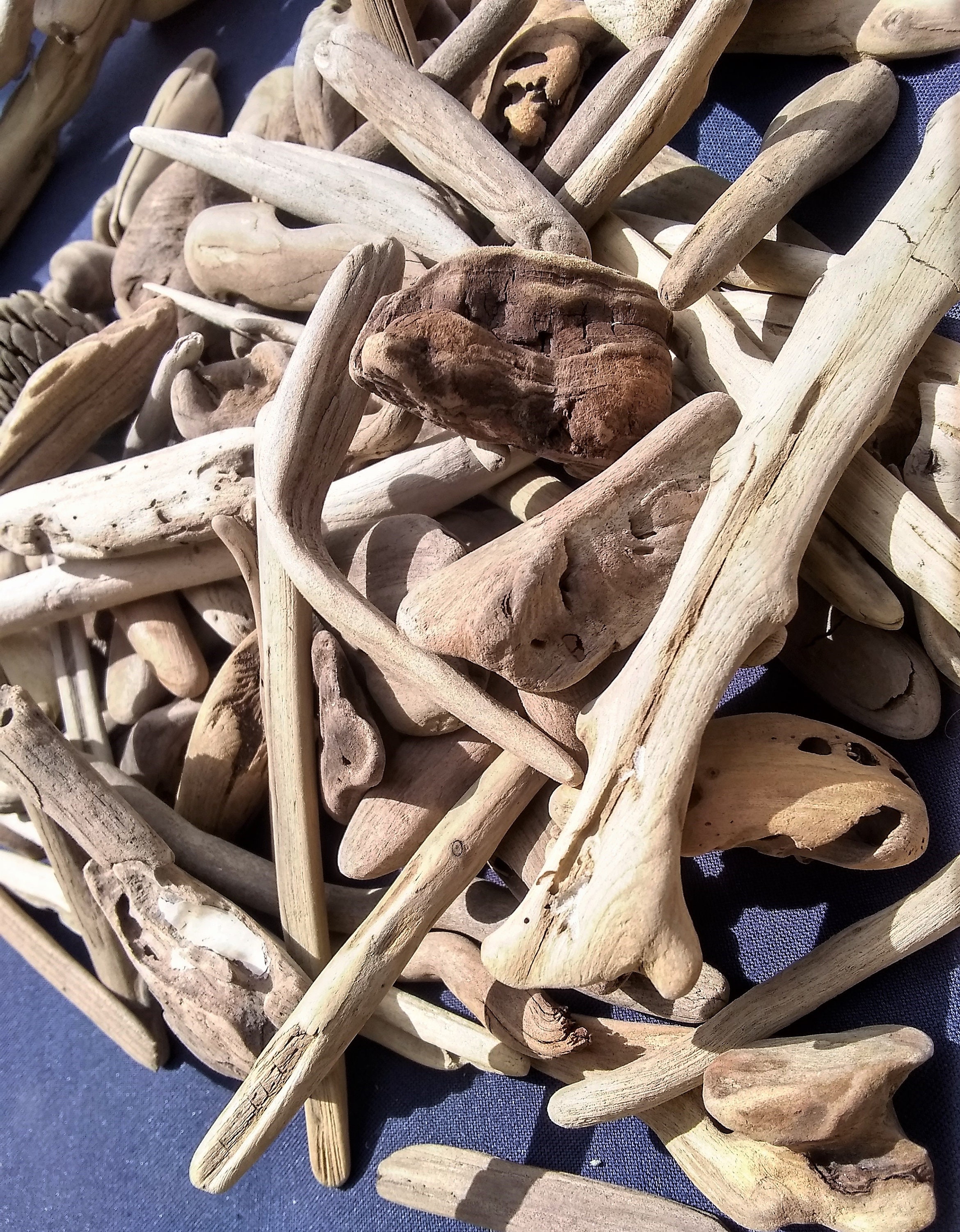 200 Driftwood Pieces for Arts and Crafts 3 to 12 | Etsy