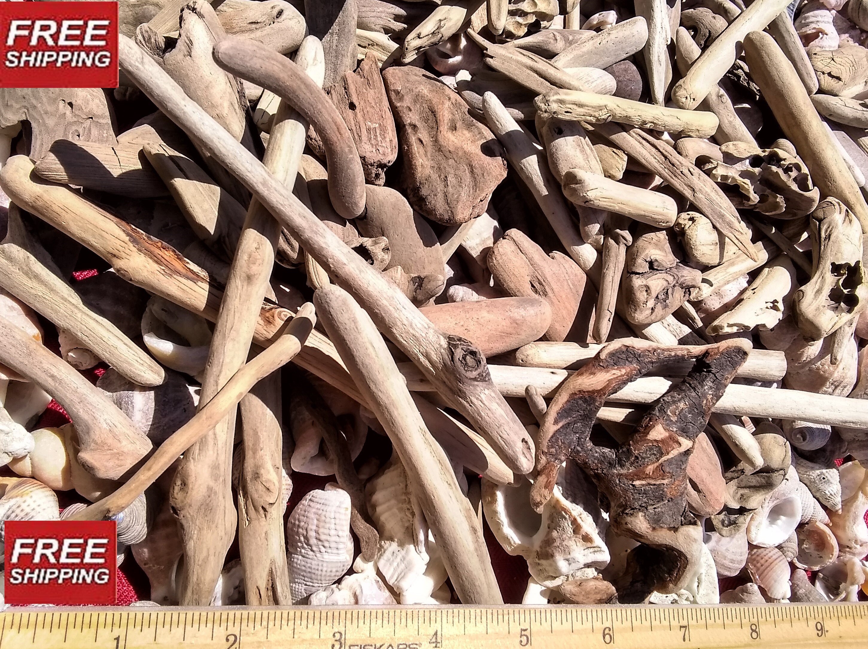 Driftwood Pieces 1 to 12 over 200 Assorted Pieces | Etsy