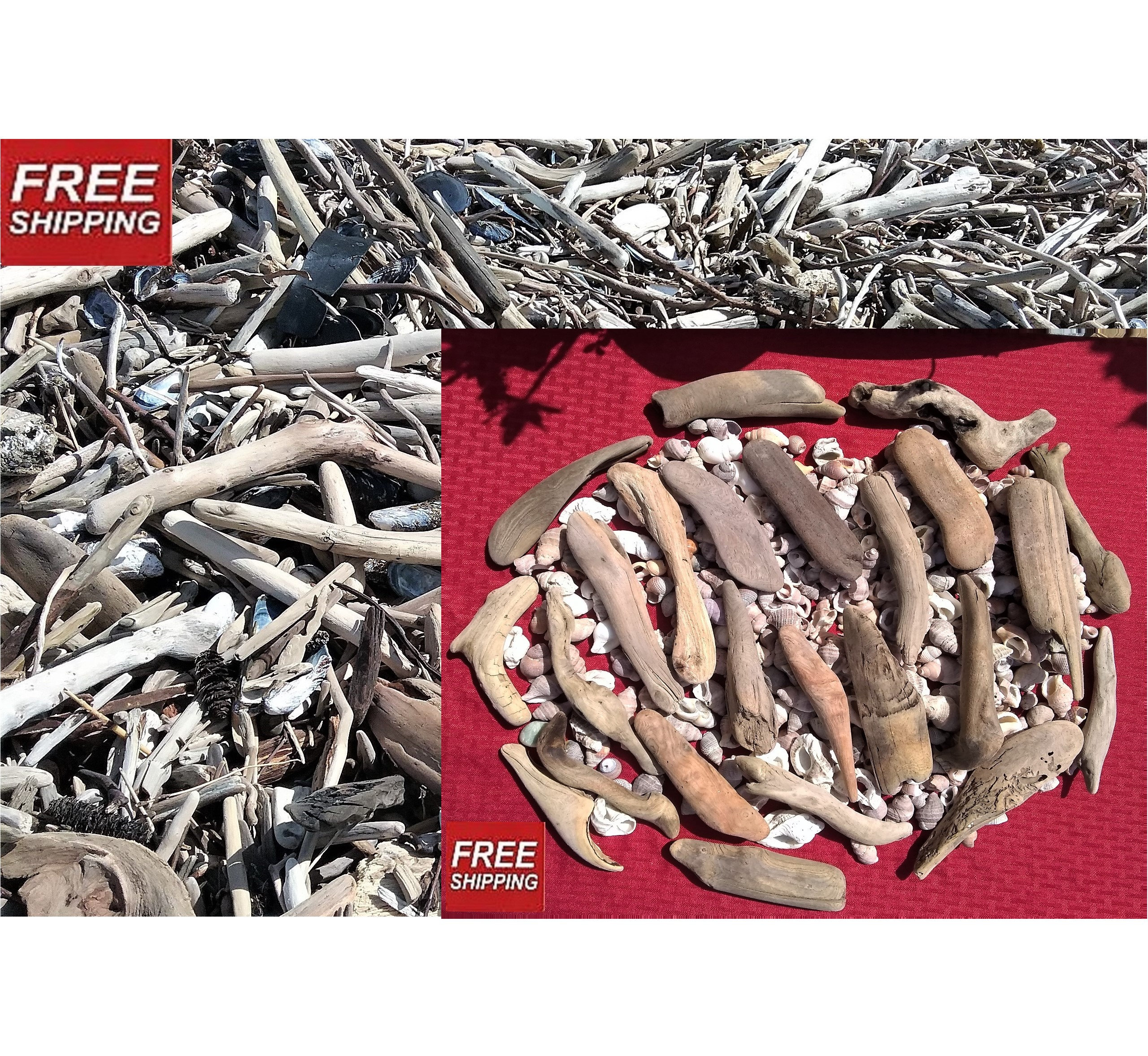 Ocean Driftwood pieces 1 to 12 OVER 250 PIECES | Etsy