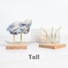 Wholesale Lot 4pcs Raw Crystal Holders Speciman Stands (sizes Optional ...