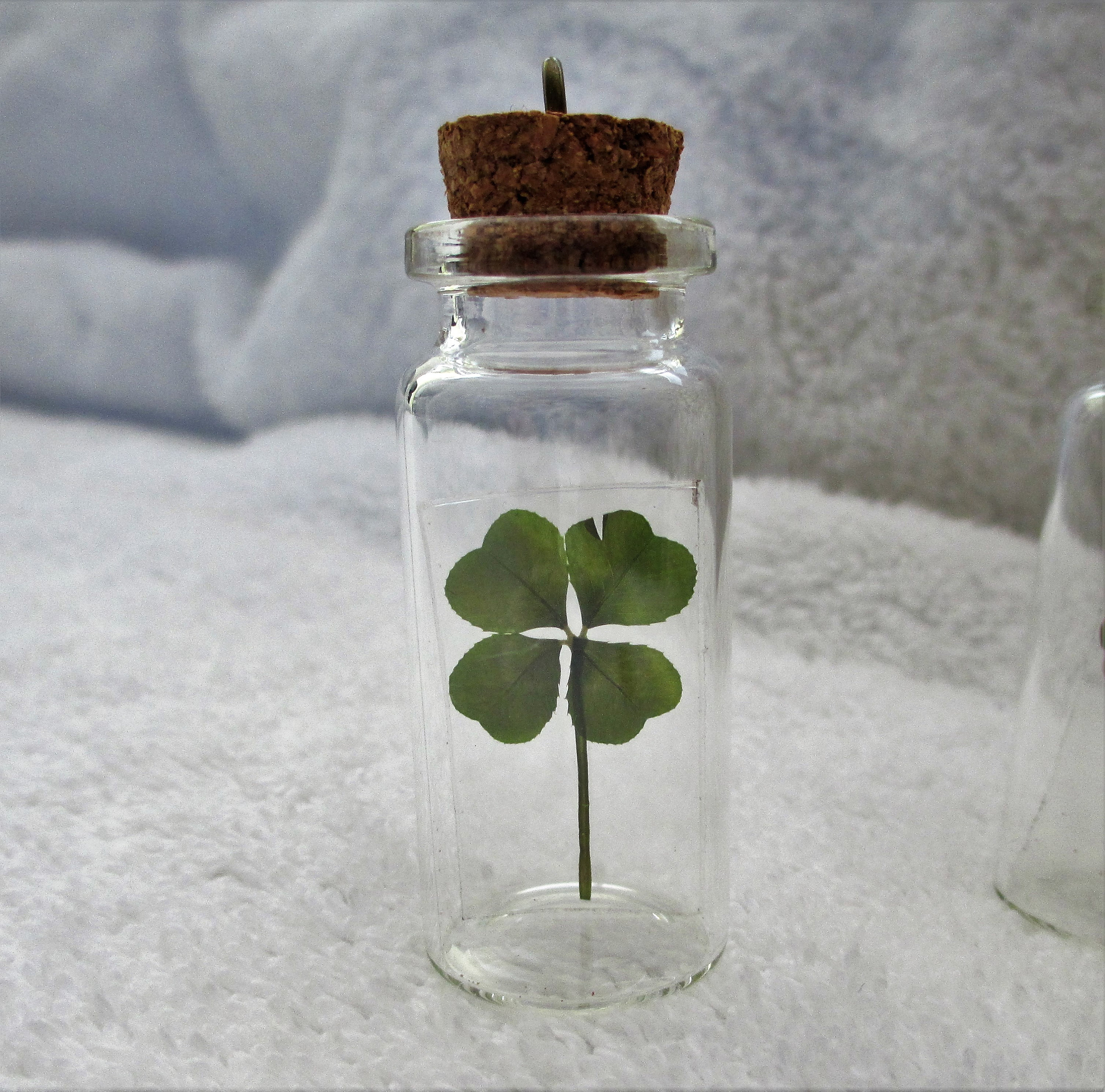 Real Four Leaf Clover in a Wishing Bottle-Genuine 4 Leaf | Etsy
