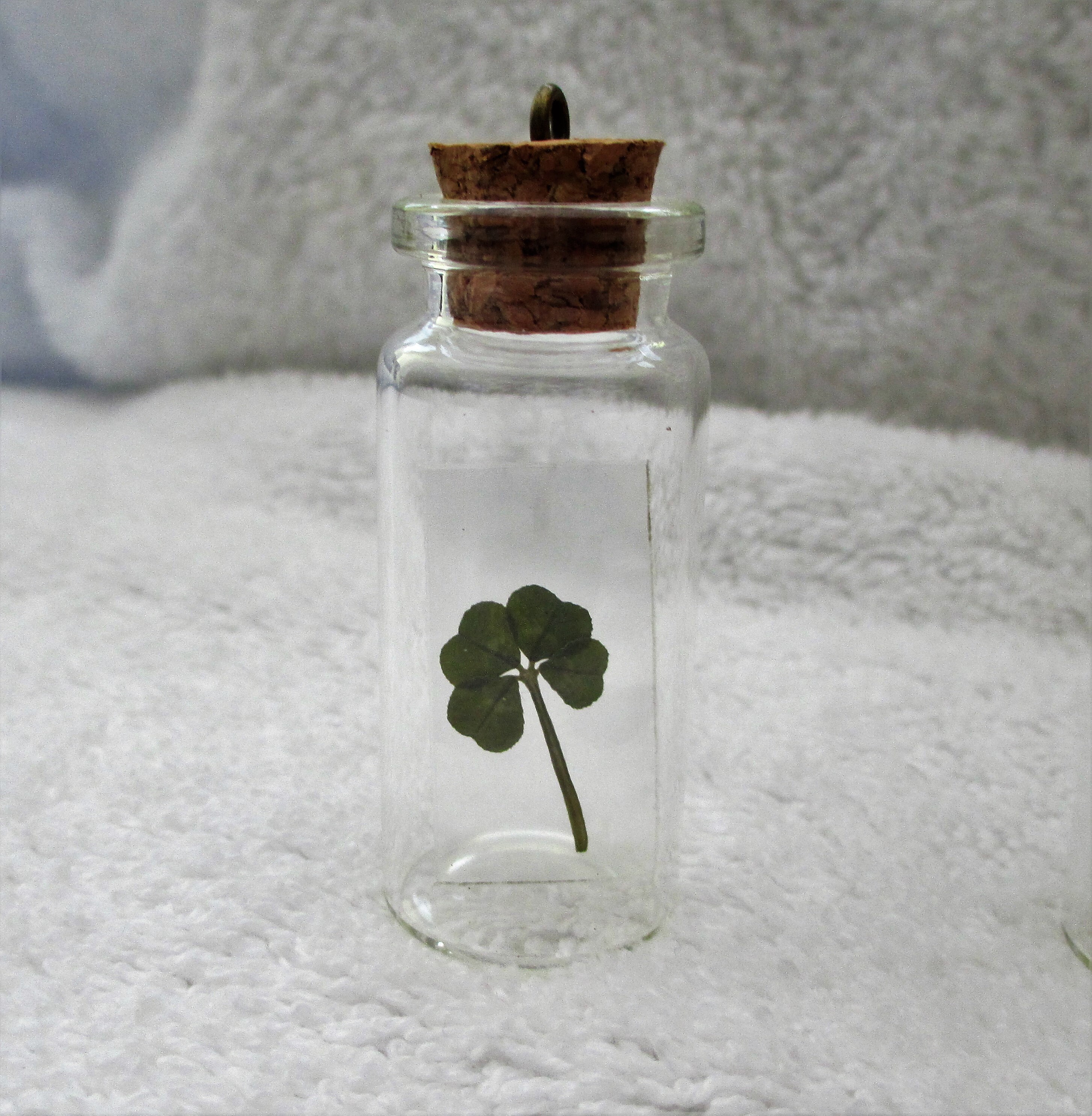 Real Four Leaf Clover in a Wishing Bottle-Genuine 4 Leaf | Etsy