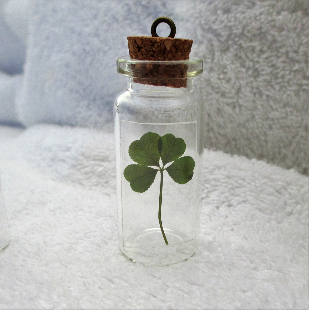 Real Four Leaf Clover in a Wishing Bottle-genuine Laminated 4 Leaf ...