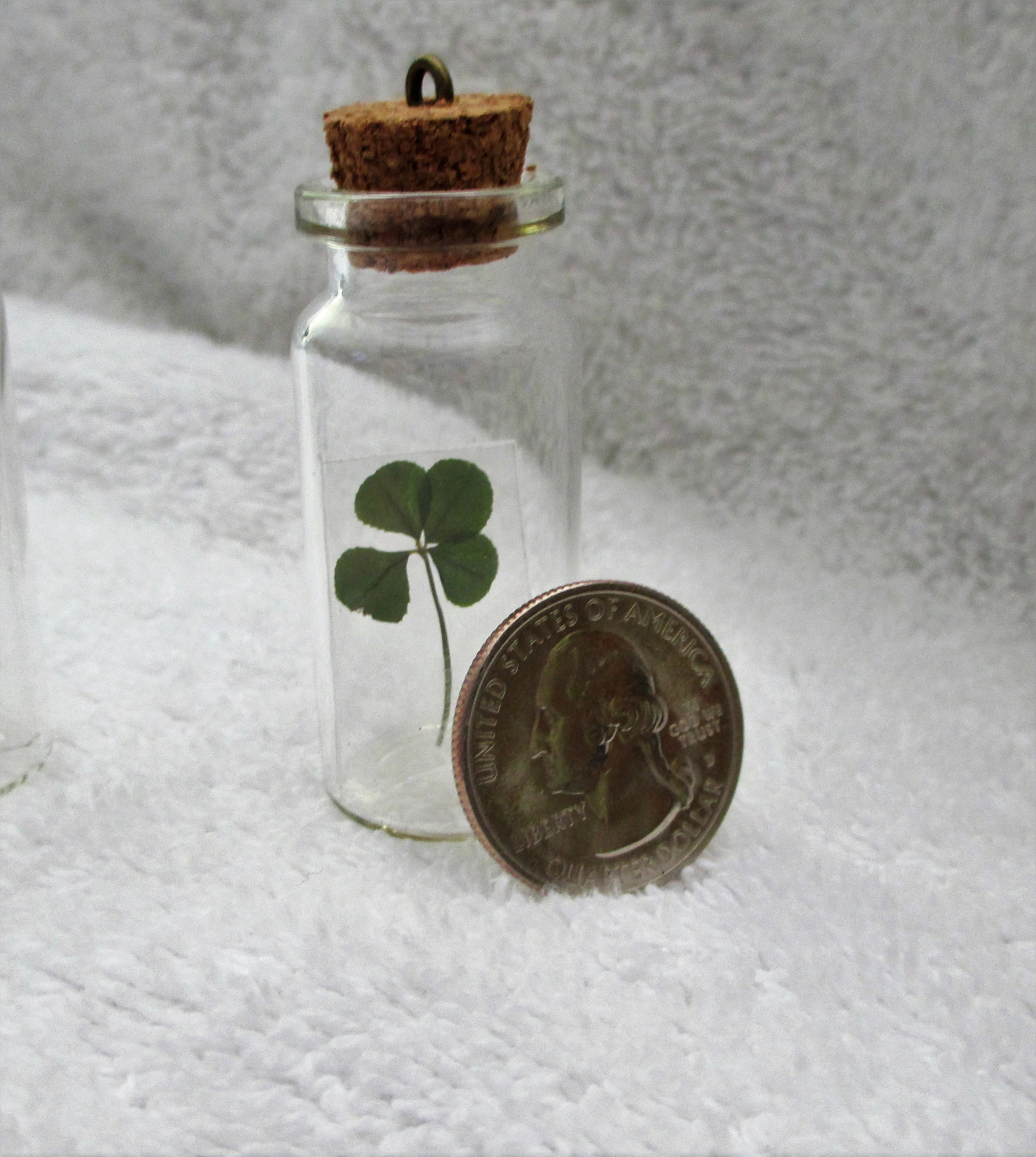 Real Four Leaf Clover in a Wishing Bottle-Genuine 4 Leaf | Etsy