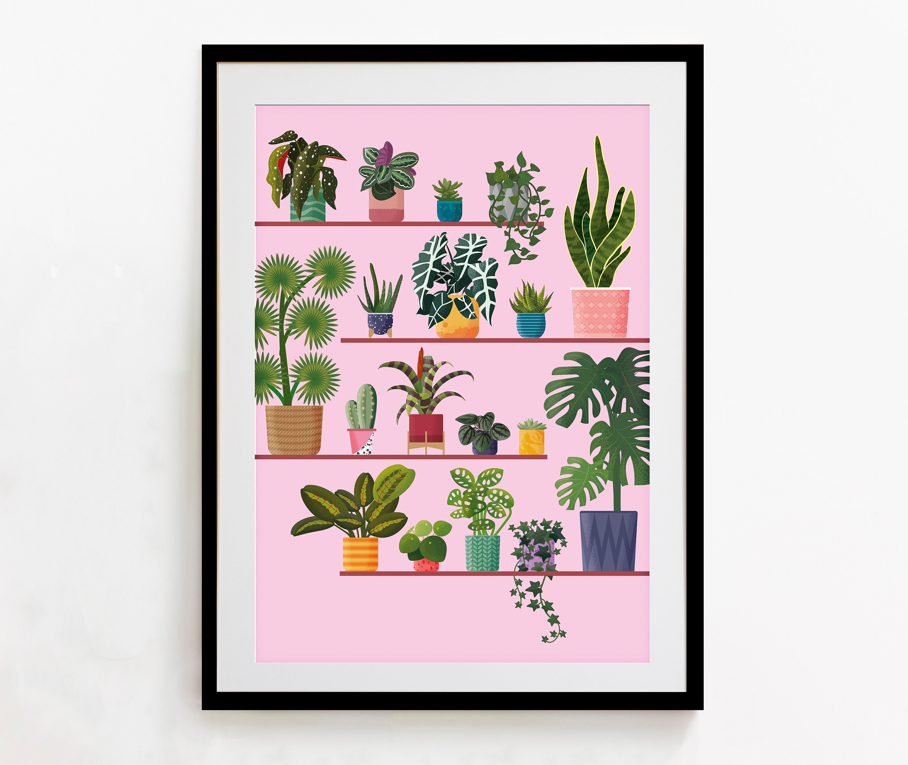 Pflanze Posterdruck | Illustrierte Pflanzen | Hauspflanzen ...