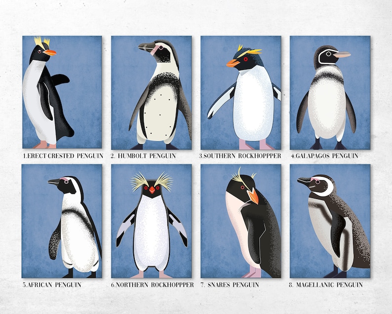 Penguin Prints Illustrated Penguins Individual Prints - Etsy
