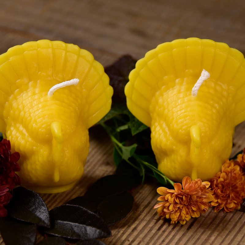 Turkey Candles - Etsy