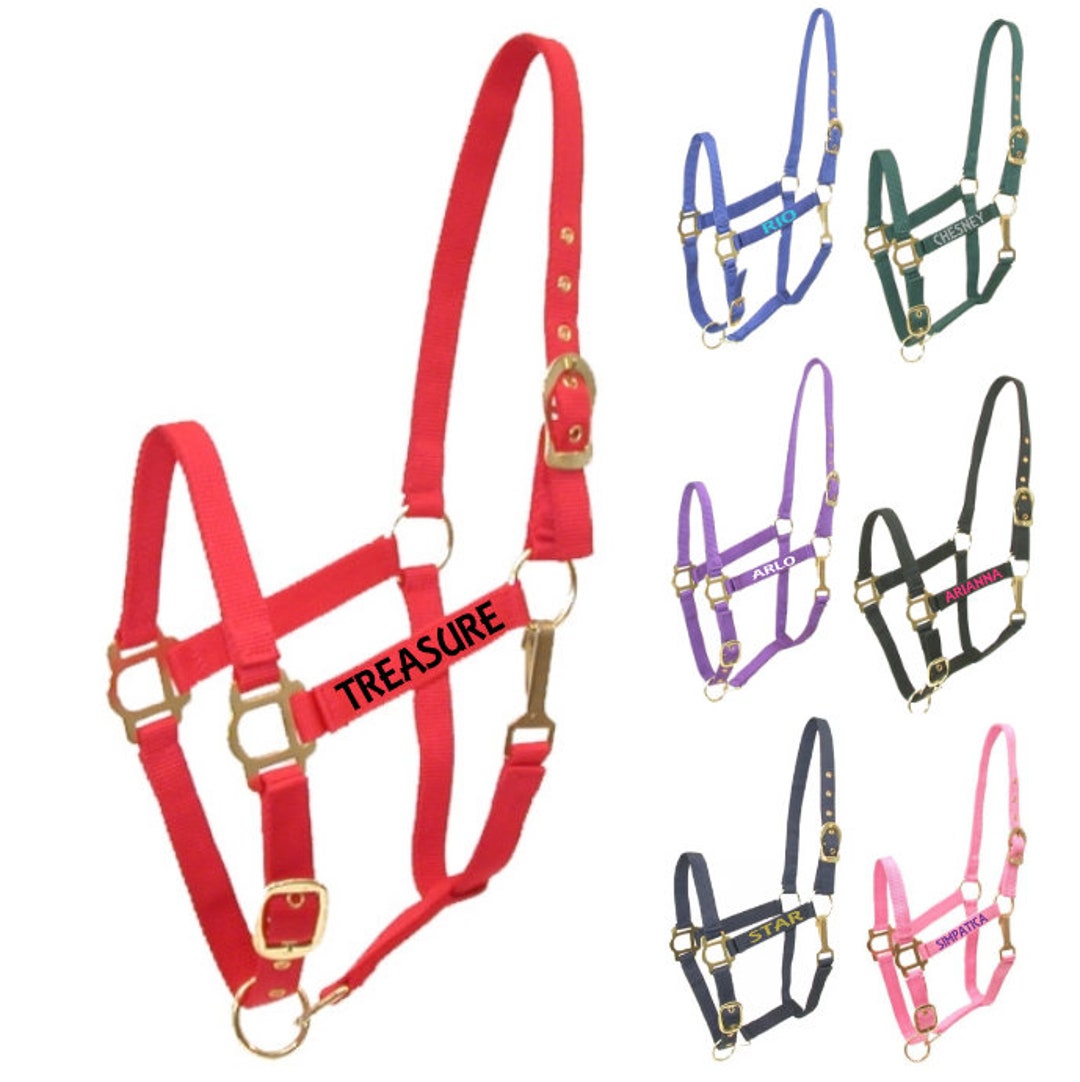 Personalized Horse Halter, Cob Halter, Pony Halter, Horse Name on ...