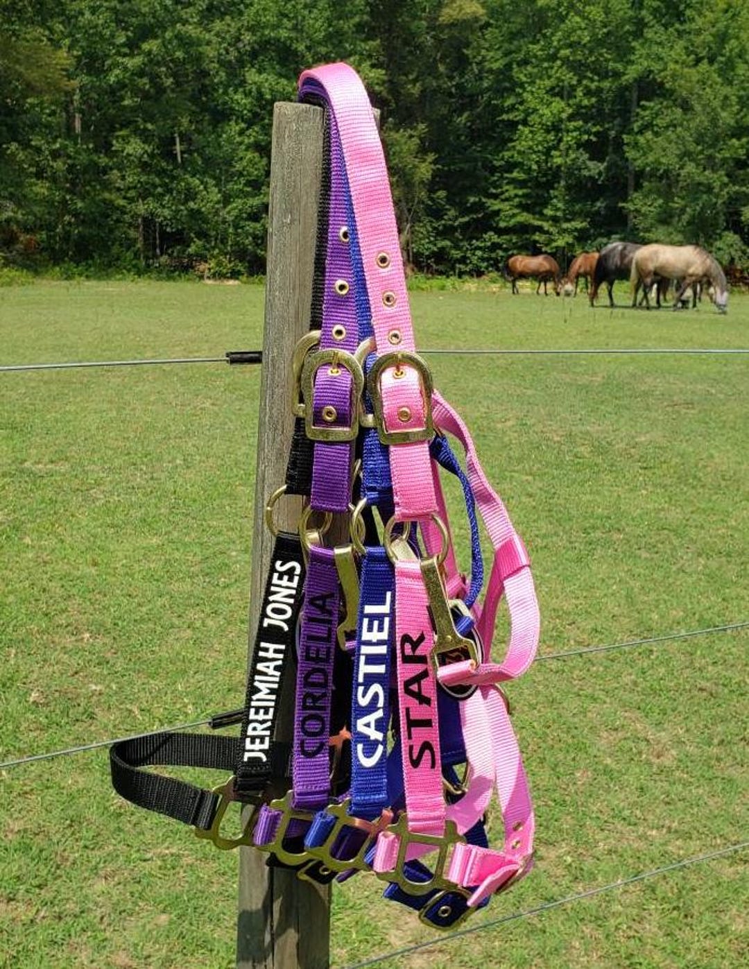 Personalized Horse Halter, Cob Halter, Pony Halter, Horse Name on ...