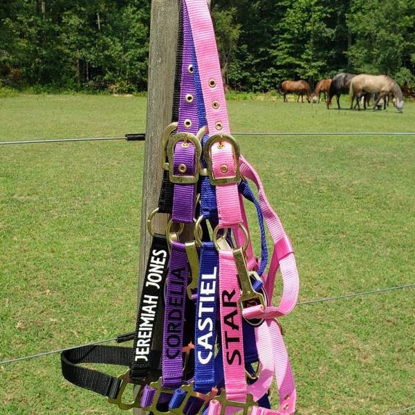 Custom Horse Halter - Etsy