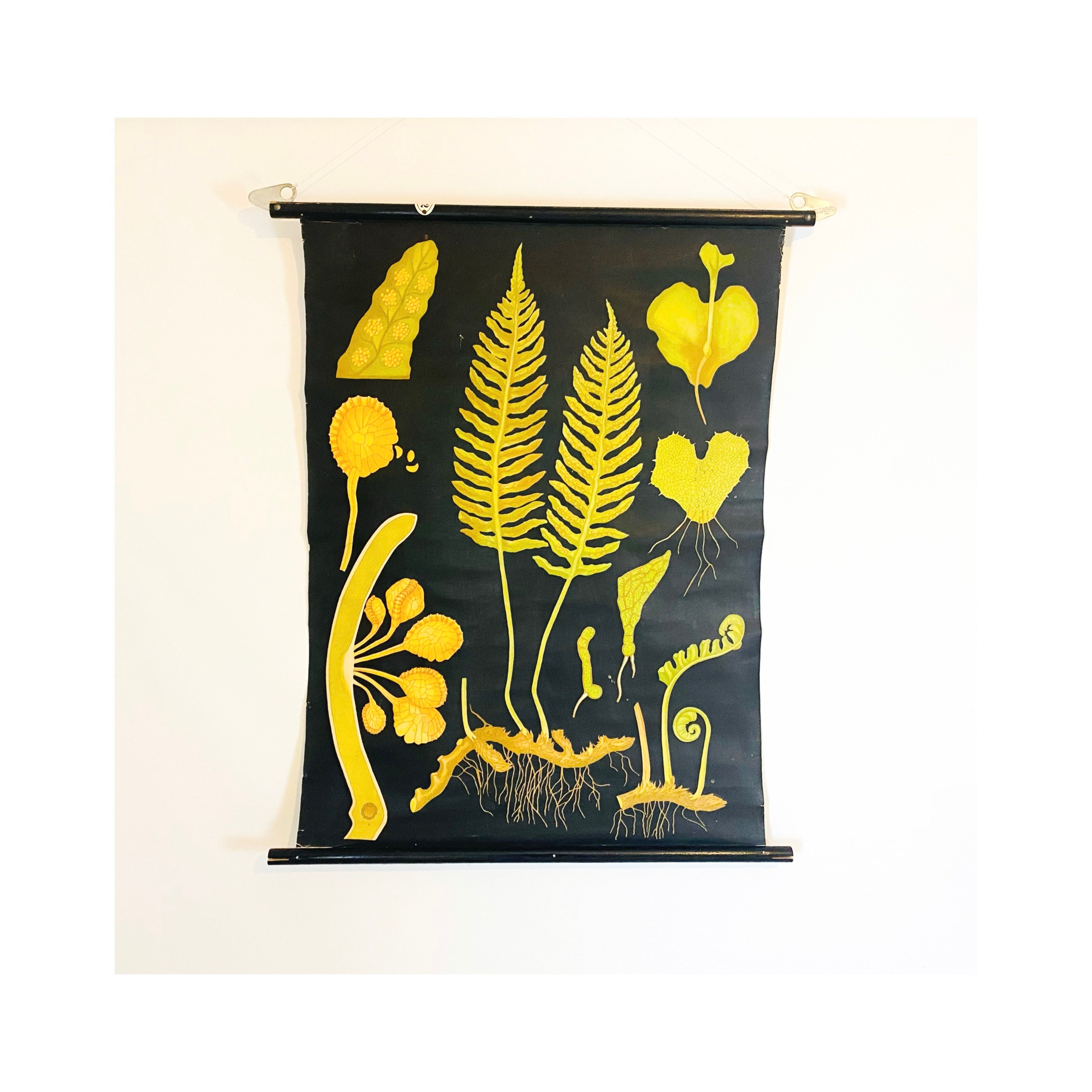 Old School Wall Map: the Fern Vintage - Etsy Ireland