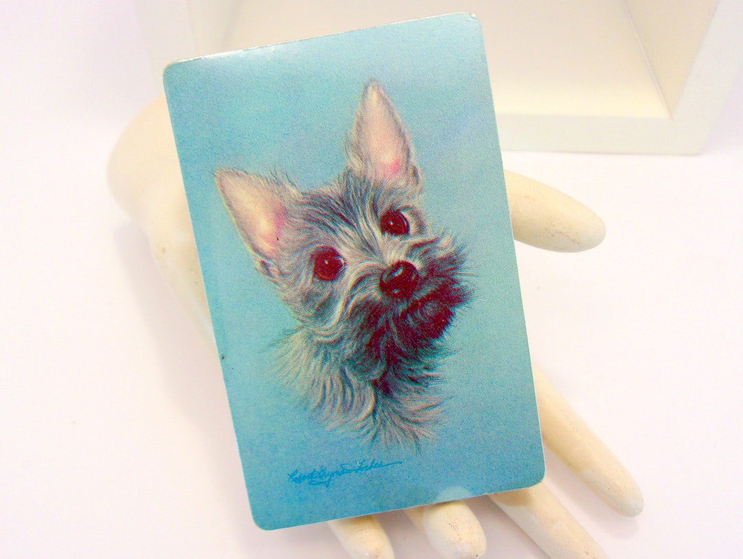 Yorkie Yorkshire Terrier Artwork by Robert Guzman Forbes Vintage 70s ...