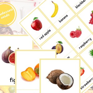 FRUITS (real Pictures), 51 Montessori Cards, Flashcards Pdf Printable ...