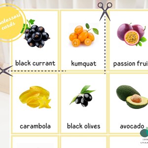 FRUITS (real Pictures), 51 Montessori Cards, Flashcards Pdf Printable ...