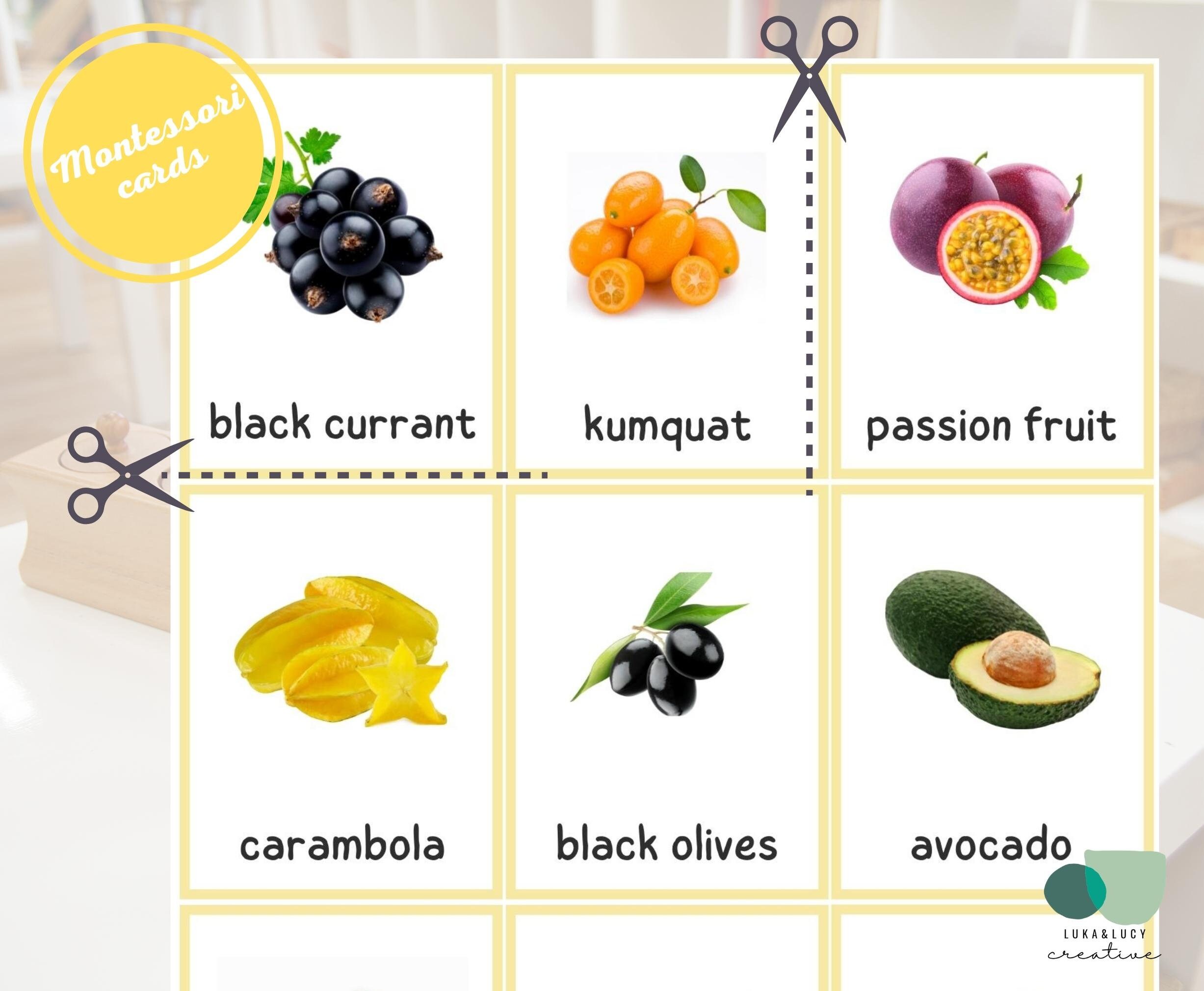 FRUITS real Pictures, 51 Montessori Cards, Flashcards Pdf Printable ...