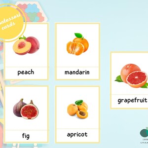 FRUITS (real Pictures), 51 Montessori Cards, Flashcards Pdf Printable ...