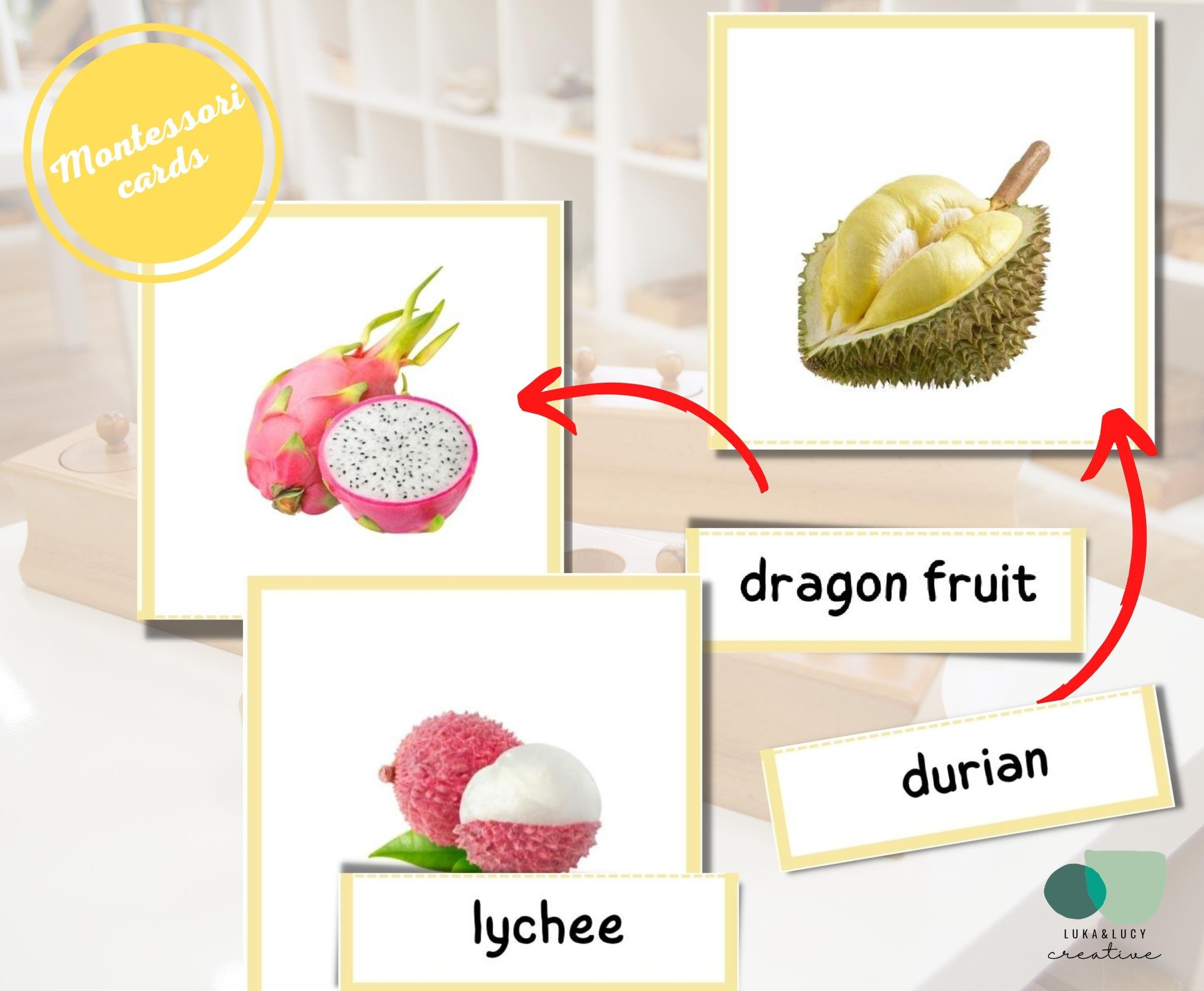 FRUITS real Pictures, 51 Montessori Cards, Flashcards Pdf Printable ...