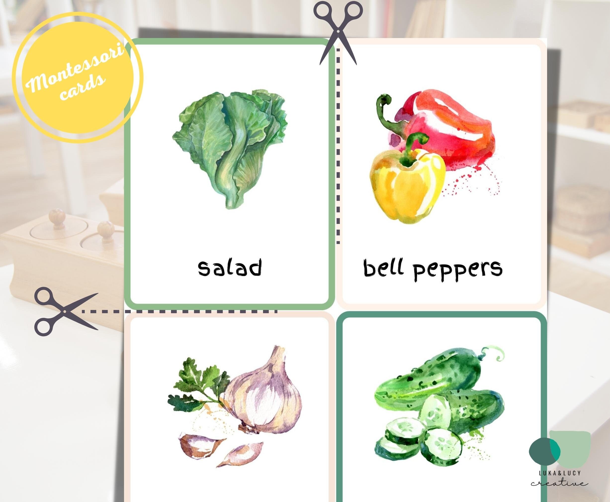 Montessori Three Part Vegetables (32 Cards) Flash Cards, Watercolor ...