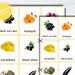 FRUITS (real Pictures), 51 Montessori Cards, Flashcards Pdf Printable ...