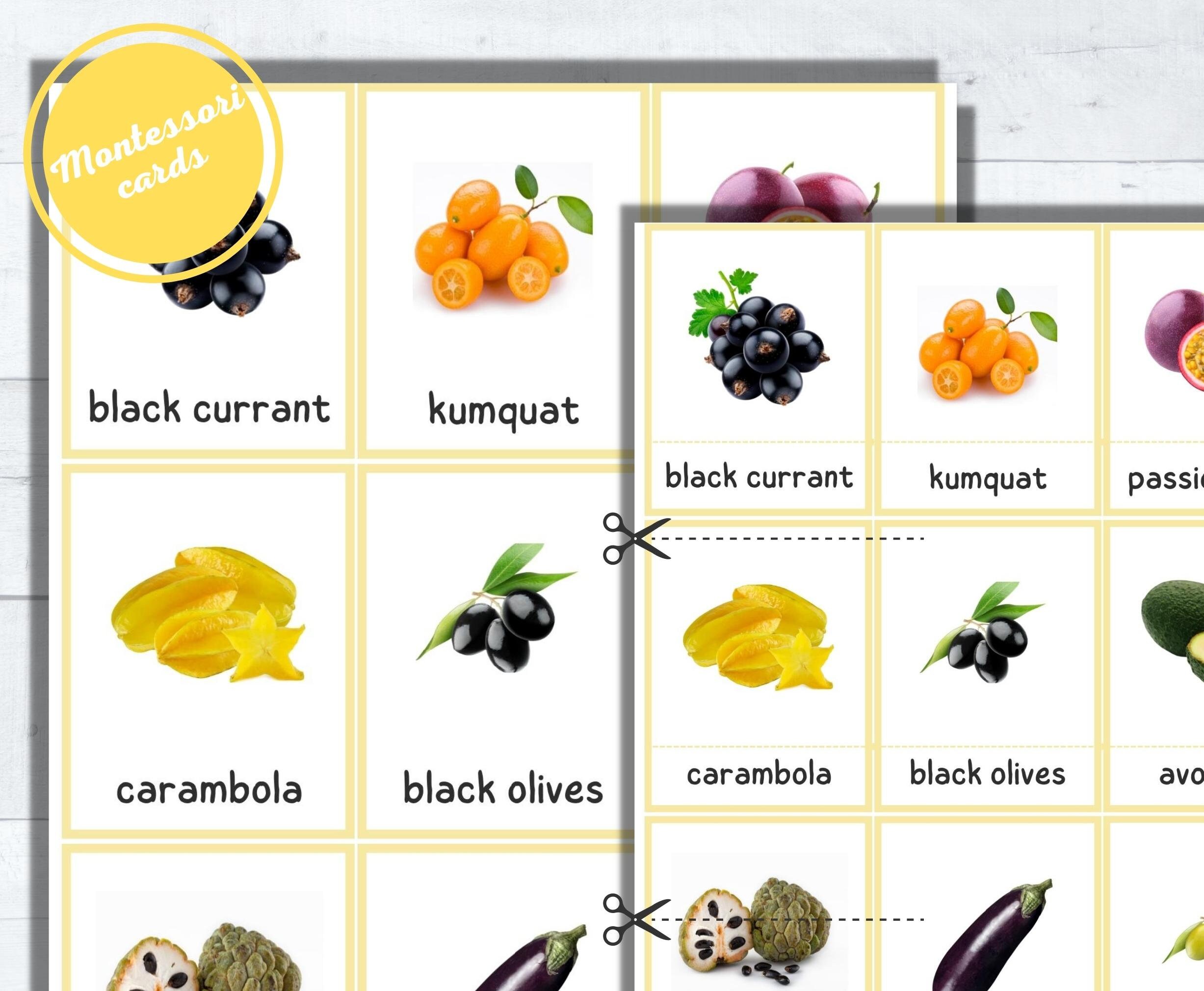 FRUITS (real Pictures), 51 Montessori Cards, Flashcards Pdf Printable ...