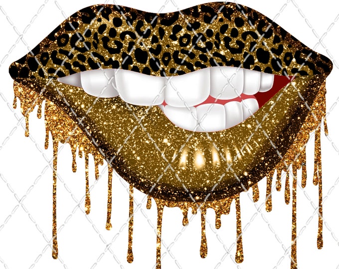 Leopard & Serape Split Coaster Sublimation Transfer Ready - Etsy