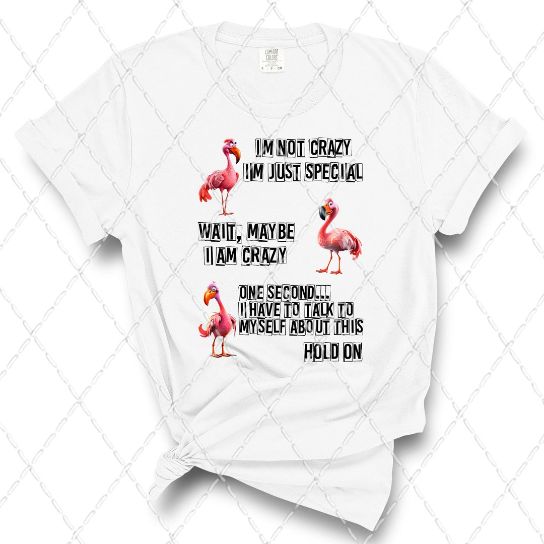 Funny Flamingo Sarcastic Quote PNG - Printable Design (digital Download ...
