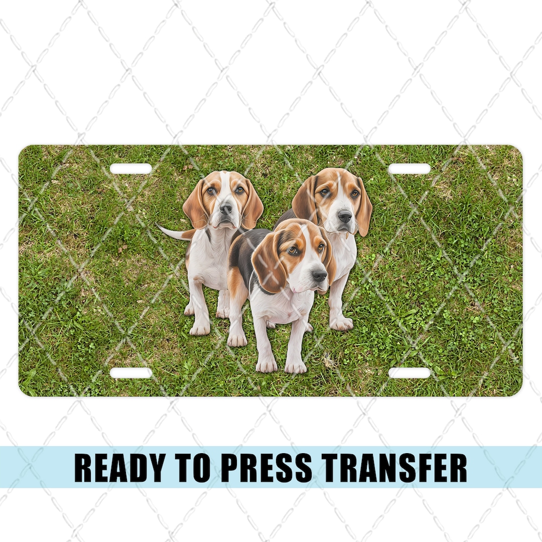 Beagles License Plate Sublimation Transfer Ready to Press Heat Transfer ...