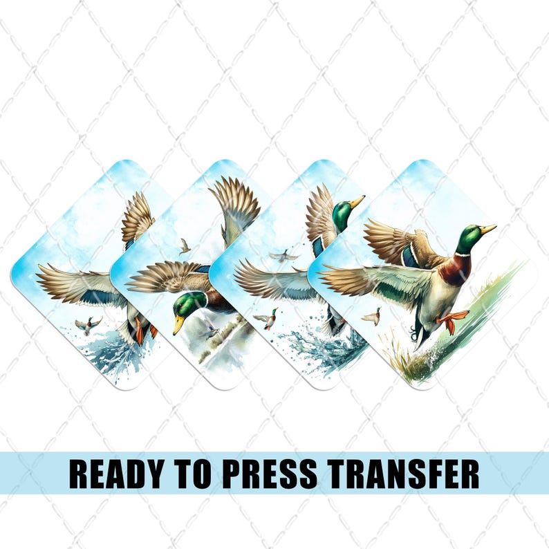 Mallard Ducks Sublimation Transfer - Ready to Press - Square Coaster ...
